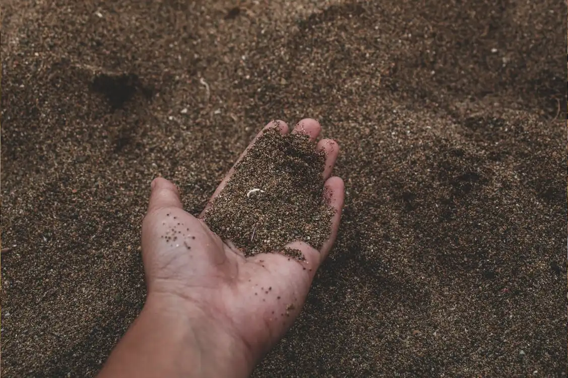 Mixing Sand with Garden Soil: Should You Do It? - Kincumber Sand & Soil